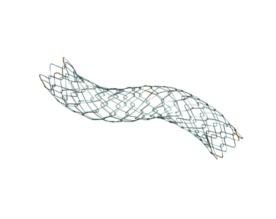 Biliary Stents | Gastroenterology